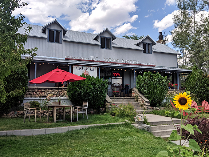 El Mono Motel and Latte Da Coffee Cafe blend rustic charm with caffeine convenience. The sunflower seems to approve of this delightful small-town combo.
