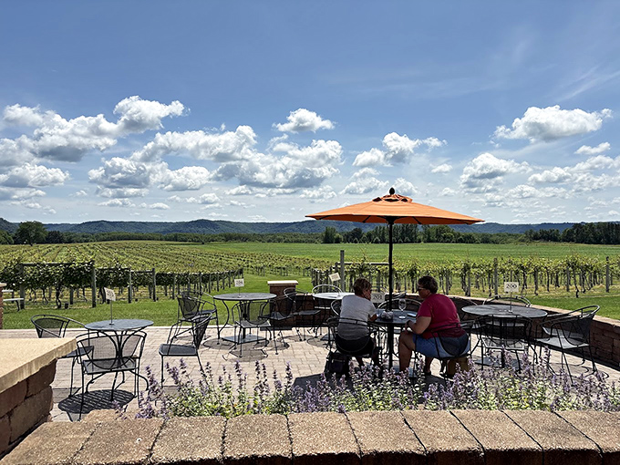 Elmaro Vineyard proves Wisconsin isn't just for beer lovers. Their patio offers wine with a side of spectacular views and midwestern tranquility.