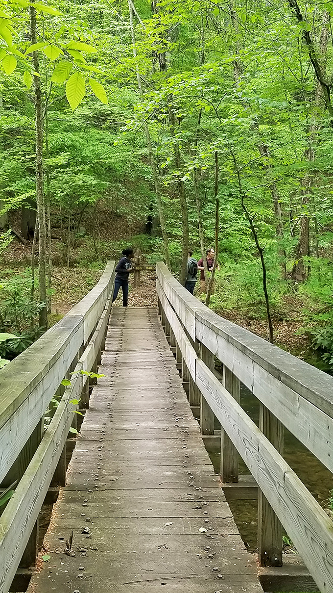 Wooden footbridges connect trails through emerald forests. Each step takes you deeper into Pennsylvania's version of a fairytale setting.