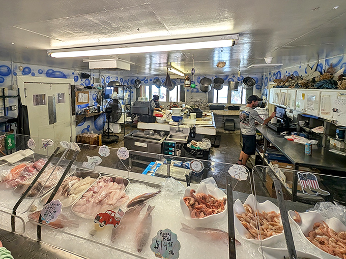 From ocean to plate in record time&mdash;the display case showcases today's catch with transparent freshness.