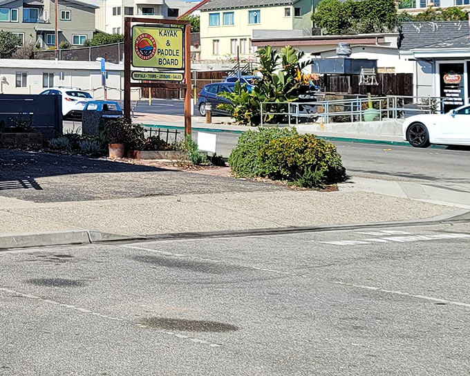 Signs for kayak rentals beckon adventure-seekers&mdash;because seeing Morro Bay from water level is like discovering it all over again.