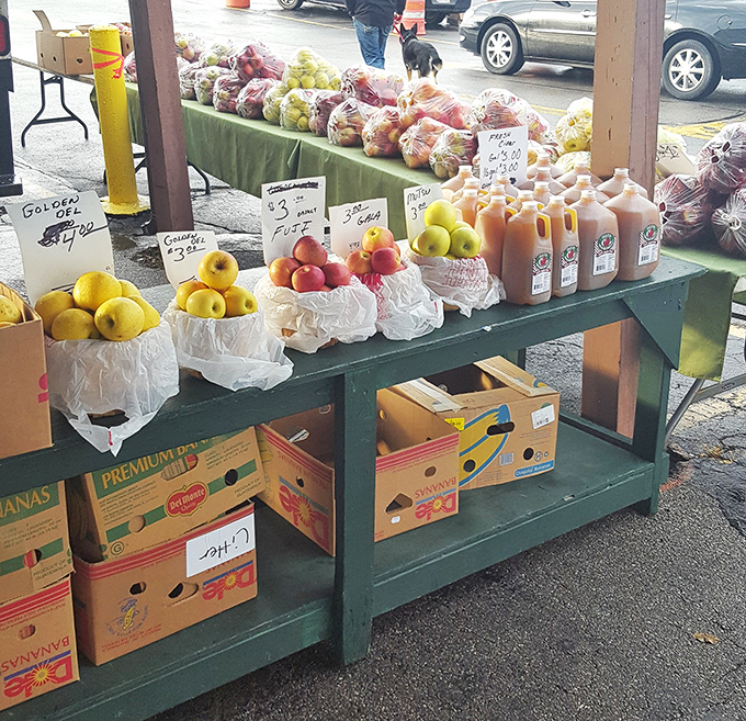 Nature's candy display! Fresh apples, bagged produce, and homemade apple cider create a farmer's market experience within the larger treasure hunt.