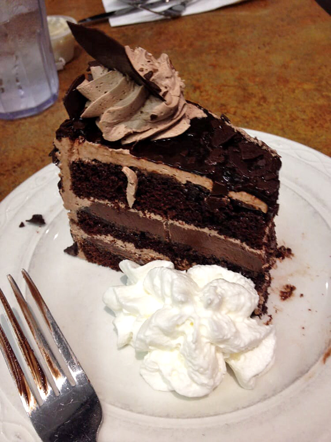 A slice of chocolate cake so decadent it should require a permission slip. That whipped cream dollop is just showing off.