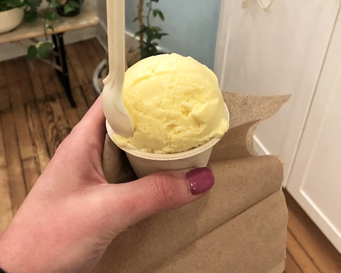 Sunshine in scoop form. This vanilla transports you to summer afternoons when time moved slower and ice cream was the day's main event.