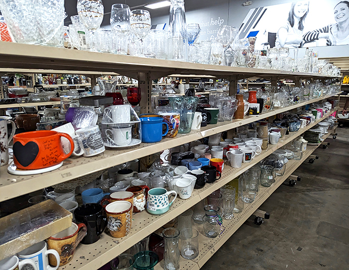 The mug section: where coffee vessels multiply like rabbits and each one silently begs, "Take me home, I'll make your morning brew taste better!"