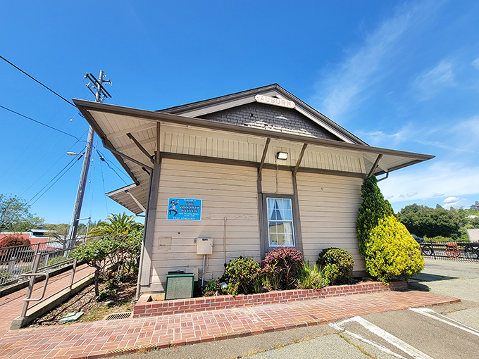 This charming historic building houses stories of Auburn's golden past. Small-town museums often hold the most fascinating tales of American ambition.
