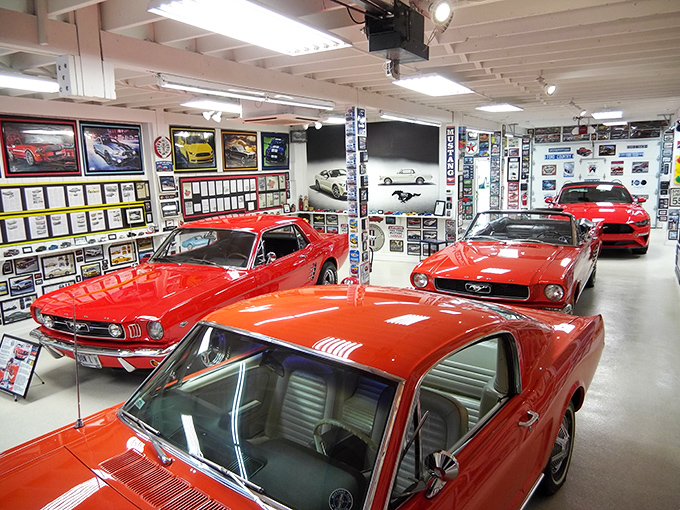 Classic American muscle gleams under careful preservation at the Halderman Museum. These aren't just cars&mdash;they're time capsules on wheels.