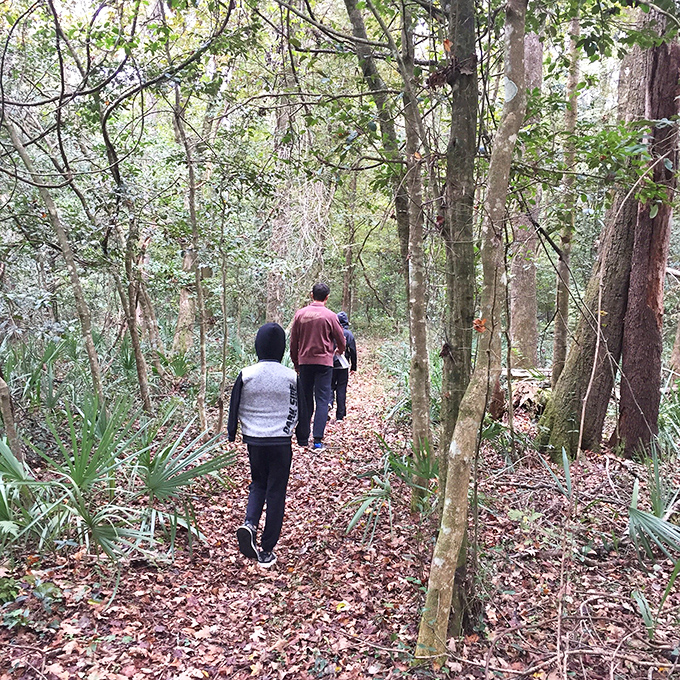 The forest trail whispers stories of old Florida with every step. Thoreau would have written volumes about this place.