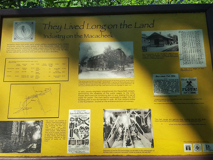 History lessons that don't require a textbook. This informational display reveals how the Piatt family's influence extended beyond their castle walls.