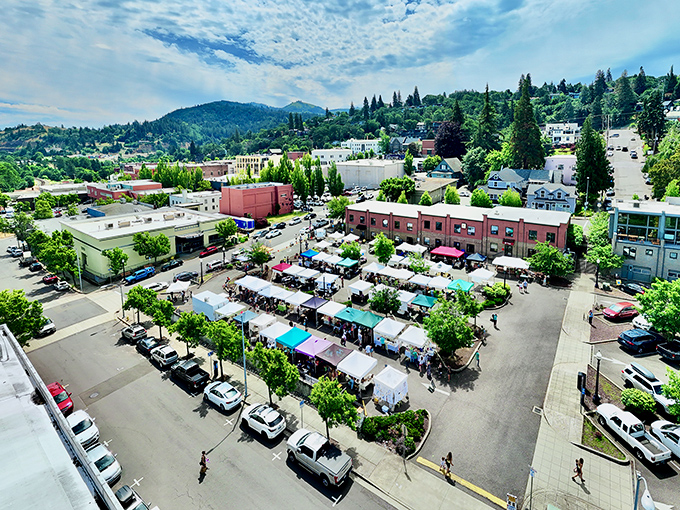 The farmers market transforms downtown into a bustling bazaar where the distance between farm and table is measured in footsteps, not miles.