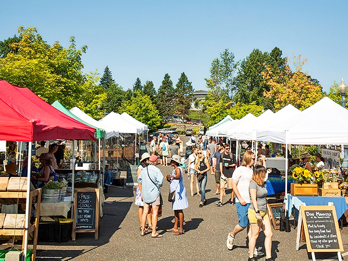 The farmers market spreads out like nature's own buffet, where tomatoes actually taste like childhood memories.