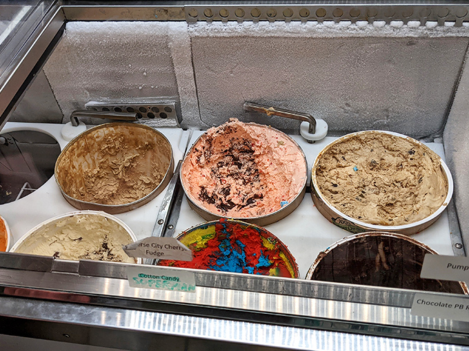 The ice cream case &ndash; a colorful canvas of frozen possibilities. Each tub holds the potential for happiness by the scoop.