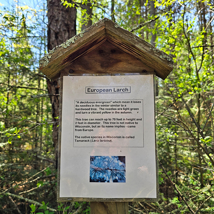 Nature meets education in this woodland setting&mdash;a reminder that Wisconsin's forests are as worthy of attention as its quirky attractions.