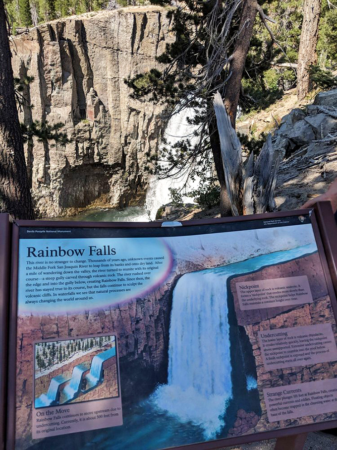 Educational signs transform sightseeing into understanding, making every visitor a temporary geology student with benefits.