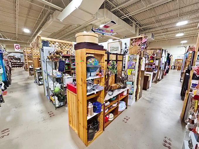 Wooden display cases create a maze of mini-museums. Each vendor's space is a carefully curated collection reflecting personal passions and finds.