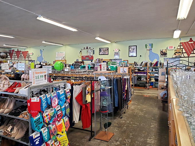 The thrill of the hunt in action—every aisle offers potential discoveries that big box stores simply can't match.