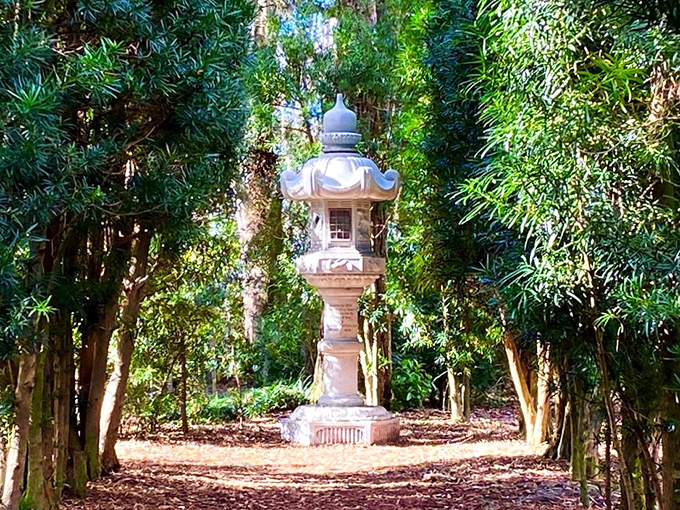 This stone lantern stands like a peaceful sentinel, guarding a bamboo grove that whispers secrets in the Florida breeze.