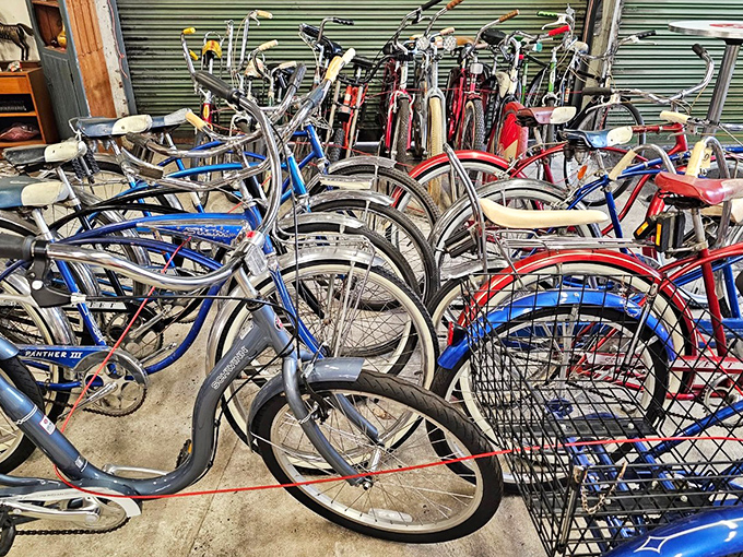A bicycle graveyard or transportation rebirth center? These vintage cruisers await restoration heroes to bring them back to neighborhood glory.