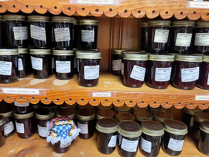 Jams and jellies lined up like jewels in a treasure chest. Each jar contains summer's bounty, patiently waiting for your morning toast.