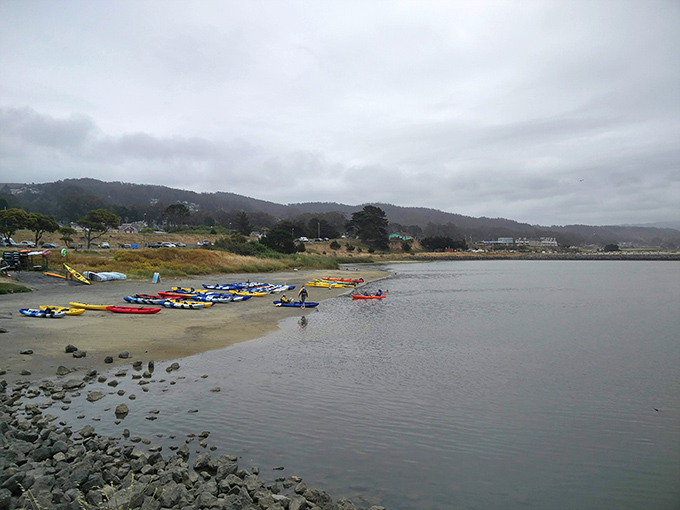Colorful kayaks wait patiently for adventure seekers. The bay's calm waters promise exploration without requiring Olympic-level paddling skills.
