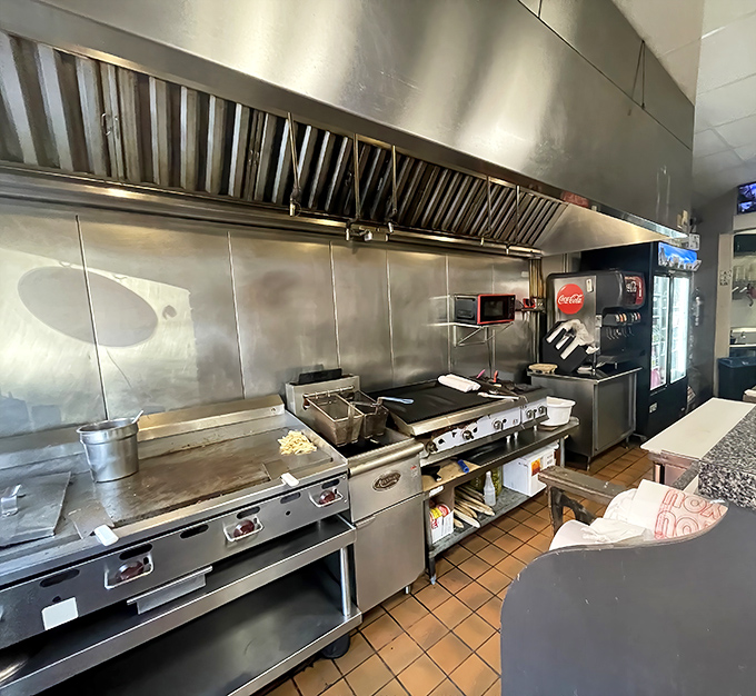 The kitchen—hallowed ground where ordinary ingredients transform into extraordinary meals through skill and dedication.