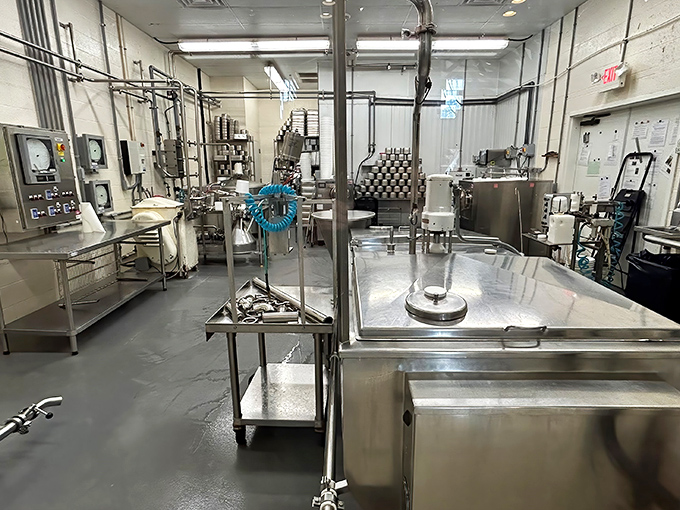 A glimpse into the spotless production facility where dairy dreams become reality—stainless steel never looked so appetizing.