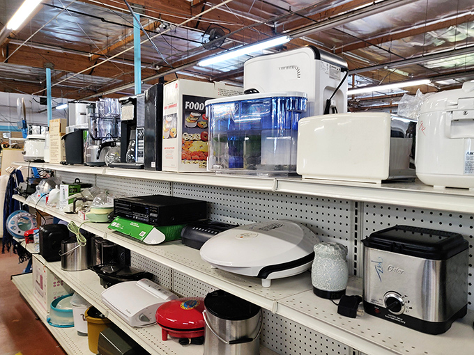 Kitchen appliances stand at attention on metal shelving, each one whispering, "Take me home and I'll make you pancakes on Sunday morning."