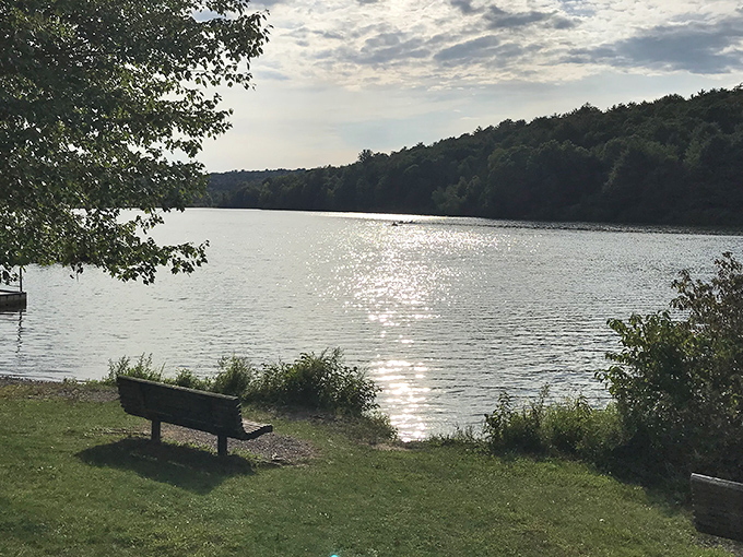A solitary bench offers front-row seats to nature's best show. The lake's shimmer performs daily, no tickets required.