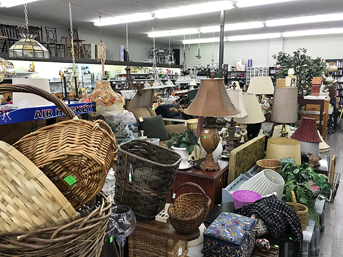 The lamp section glows with potential, offering lighting solutions that range from "grandma's attic" to "surprisingly modern statement piece."