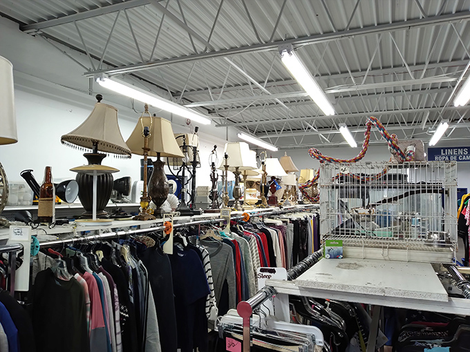 A lamp bazaar where every style from Art Deco to "what were they thinking?" peacefully coexists under fluorescent lights.