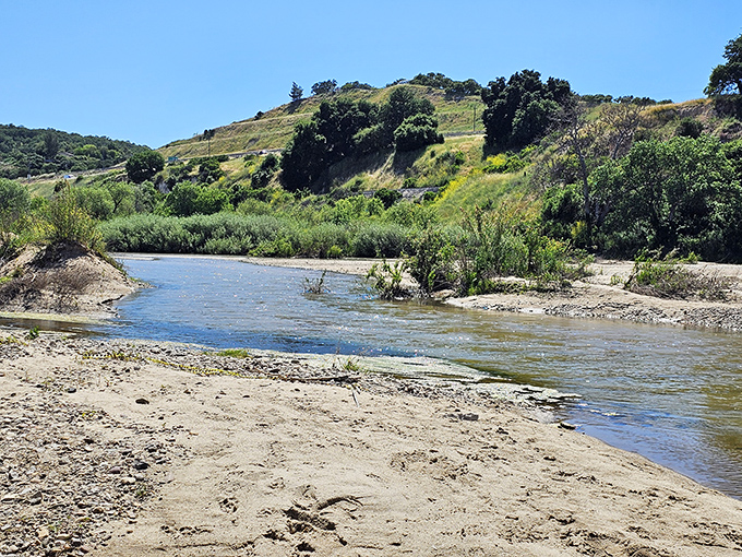 The Salinas River creates a natural oasis amid the rolling hills, offering hiking trails and peaceful spots for contemplation.