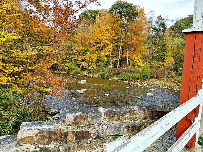 Laurel Hill Creek meanders beneath a canopy of autumn splendor. The water has been providing this soundtrack for generations.