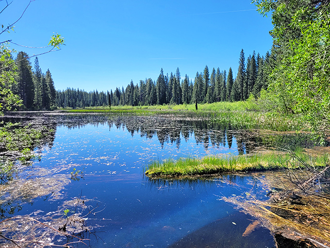 Madora Lake sits pretty, reflecting mountains like nature's own vanity mirror.