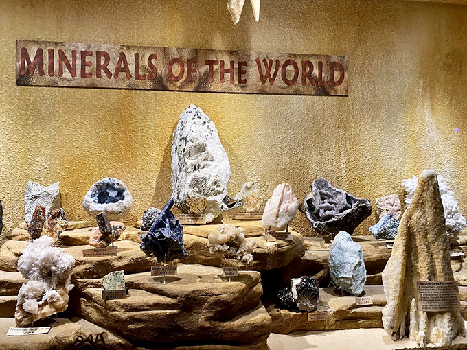 "Minerals of the World" display showcases Earth's geological treasures. These crystals formed over millions of years, making even the slowest Amazon delivery seem speedy.