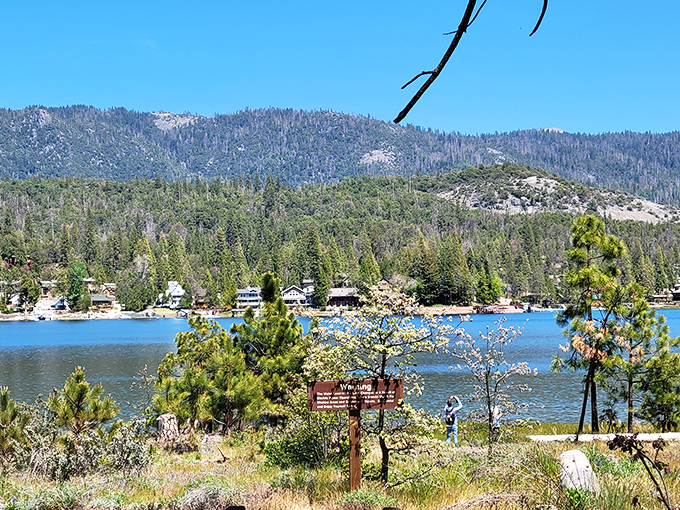 Bass Lake shimmers like nature's infinity pool, surrounded by pines that have been photobombing family pictures for generations.