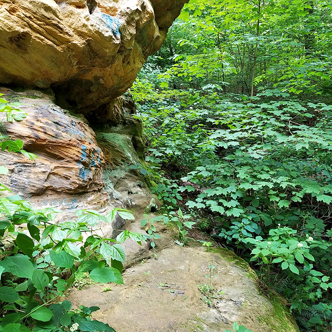 Nature's hallway reveals itself as you round the bend. These rock formations have been patiently waiting for your Instagram moment for millions of years.