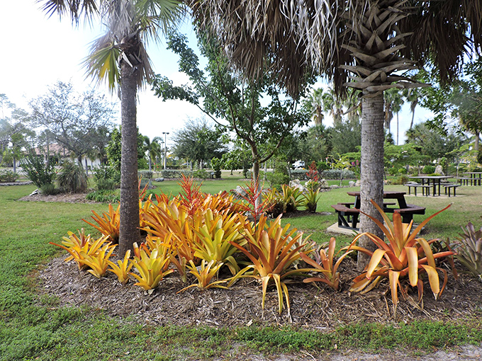 Bromeliads burst with sunset colors at this peaceful park, creating a tropical tableau that makes northern visitors question all their life choices.