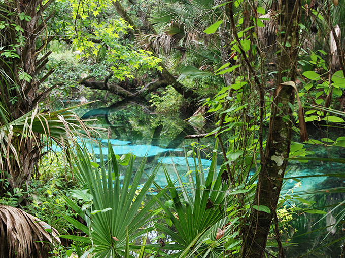 Peek through the palms for a glimpse of blue that makes you question whether someone secretly installed underwater lighting.