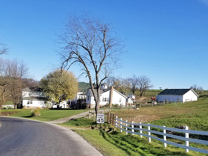 White picket fences aren't just for show here&mdash;they're part of daily life. This quintessential Amish Country home showcases the simple elegance of rural living.
