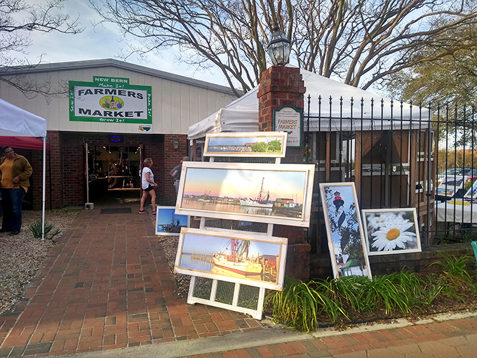The Farmers Market showcases local art alongside fresh produce. Where shopping bags fill with both creativity and tomorrow's dinner ingredients.