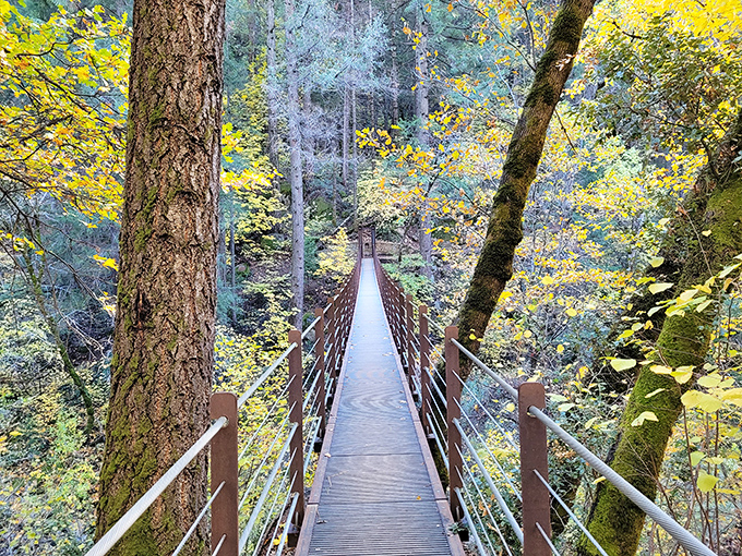 A charming footbridge winds through golden forest leaves, inviting you to wander, explore, and soak in Nevada City&rsquo;s tranquil beauty.