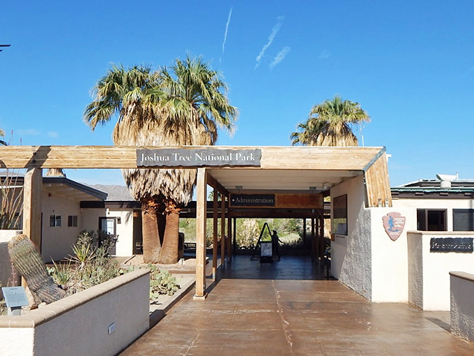 Joshua Tree's Oasis Visitor Center serves as base camp for adventures that would make John Wayne tip his hat.
