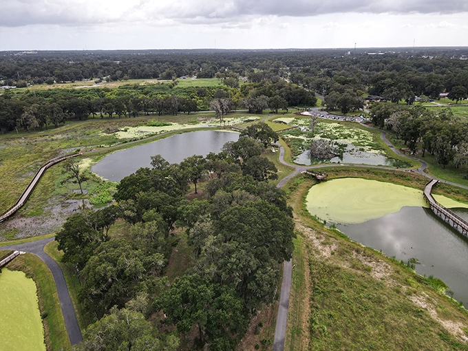 Ocala's wetland park combines environmental stewardship with recreation, creating a landscape where water, wildlife, and golfers coexist in harmony.