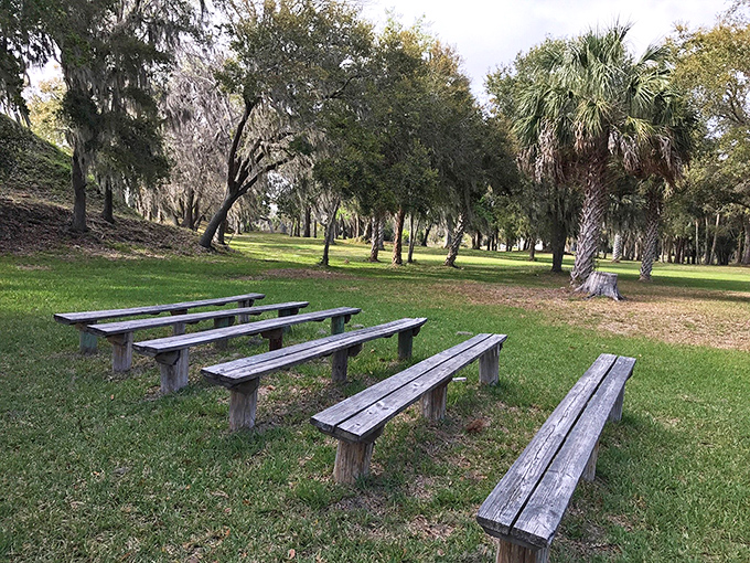 These benches have heard more contemplative sighs than a philosophy professor's office hours &ndash; perfect for pondering.