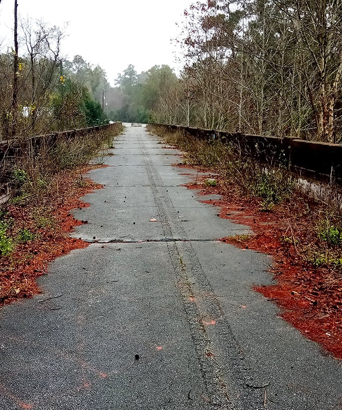 This abandoned roadway once bustled with horse-drawn wagons and early automobiles. Today, only the occasional ghost hunter breaks the silence.