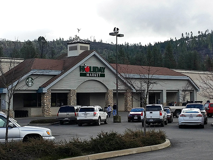The Holiday Market isn't just a grocery store; it's where locals exchange recipes and gossip with equal enthusiasm under the watchful gaze of mountain peaks.