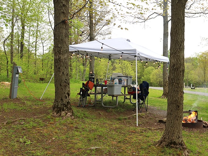 Picnic perfection achieved! A canopy, campfire, and forest dining room&mdash;just add friends and food for instant outdoor memories.