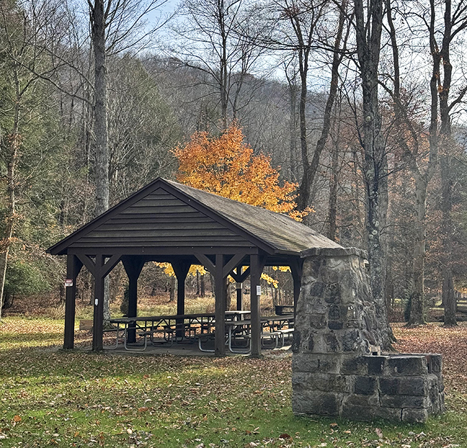 This picnic pavilion has hosted generations of family gatherings. If these stone fireplaces could talk, they'd share stories of s'mores and summer romances.