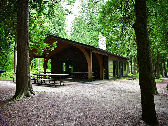 The nature center—where "rustic charm" meets "actually useful information about why that plant just made your arm itchy."