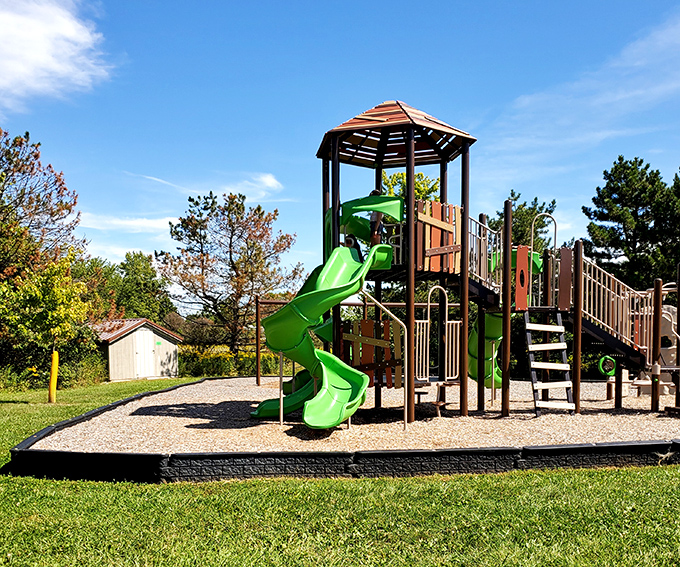 The playground where energy is burned and childhood memories are made. Parents appreciate the strategic bench placement for supervision disguised as relaxation.